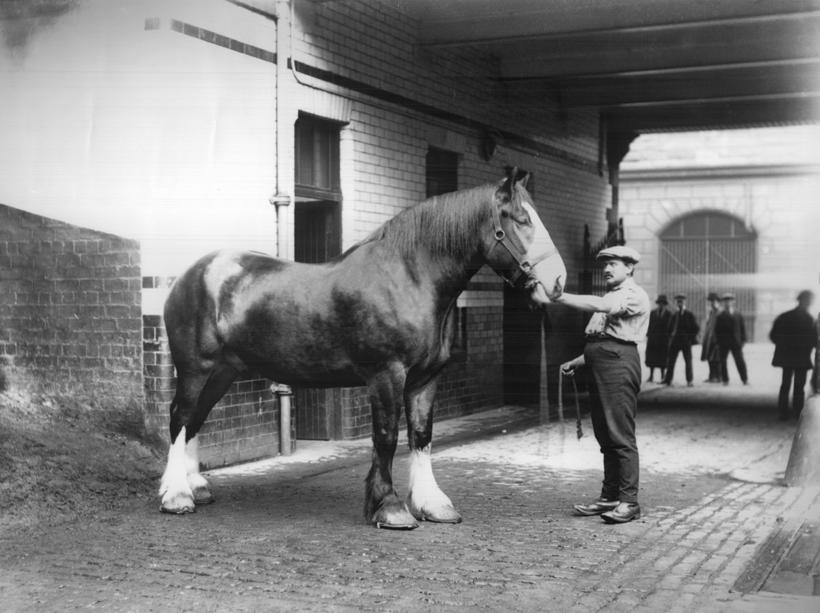 Bell Street Stables Conversion | Collective Architecture