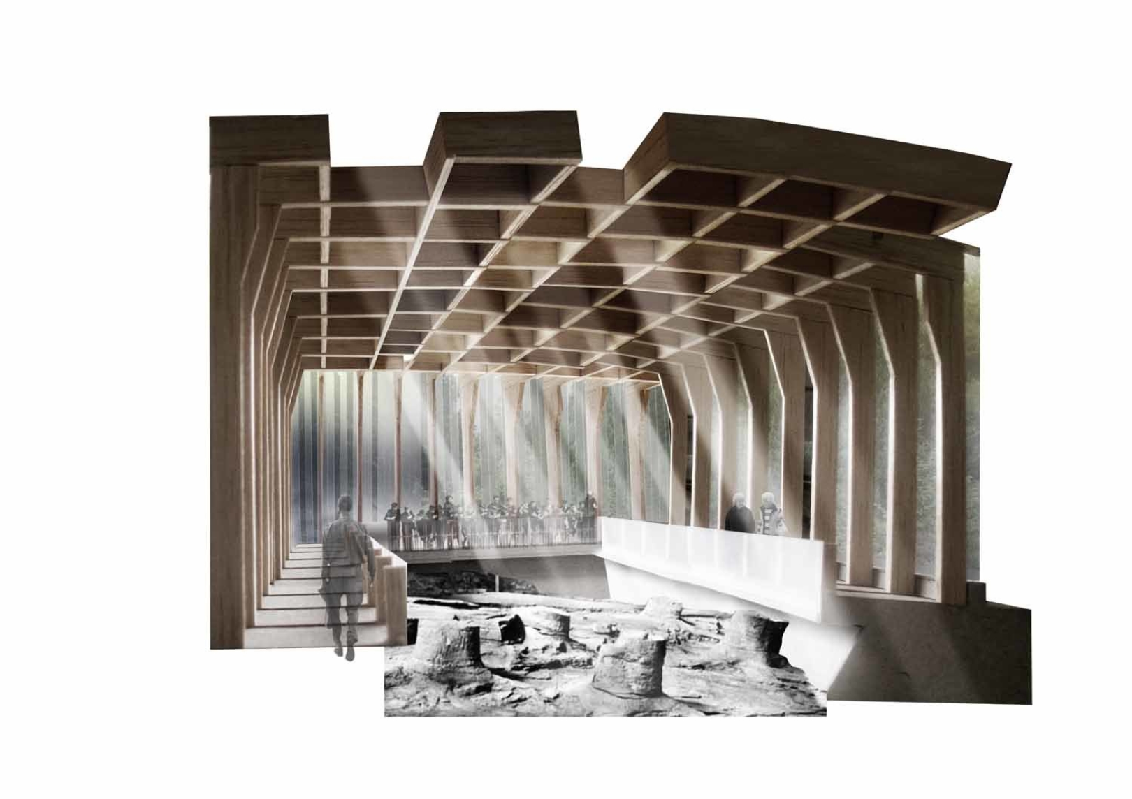 Fossil Grove House | Collective Architecture